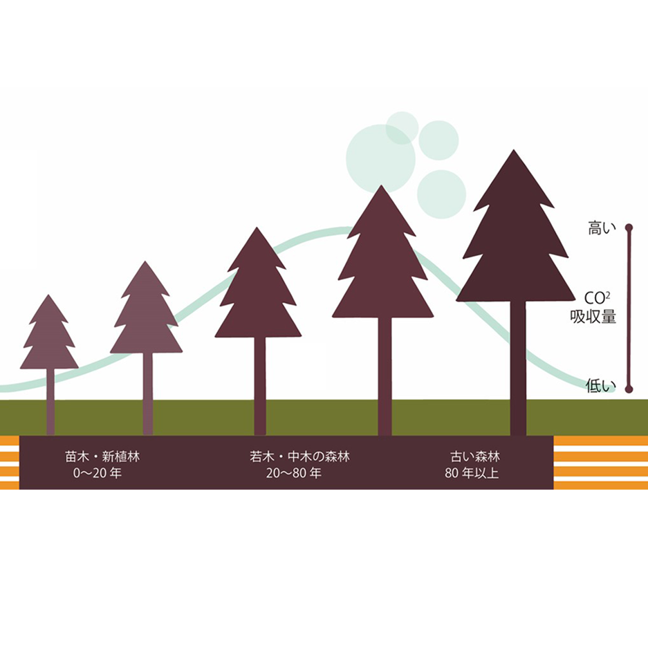 Re-board[リボード] SDGs認証/FSC認証取得済み の優れた特徴 | NSK 日本製図器工業株式会社